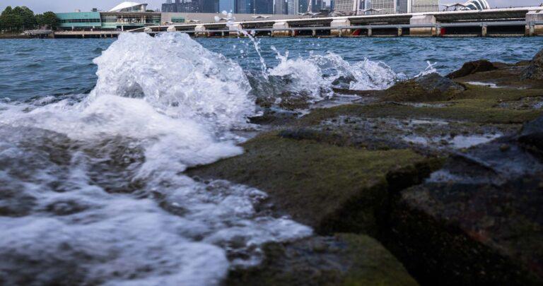 GAIP | Addressing Protection Gaps