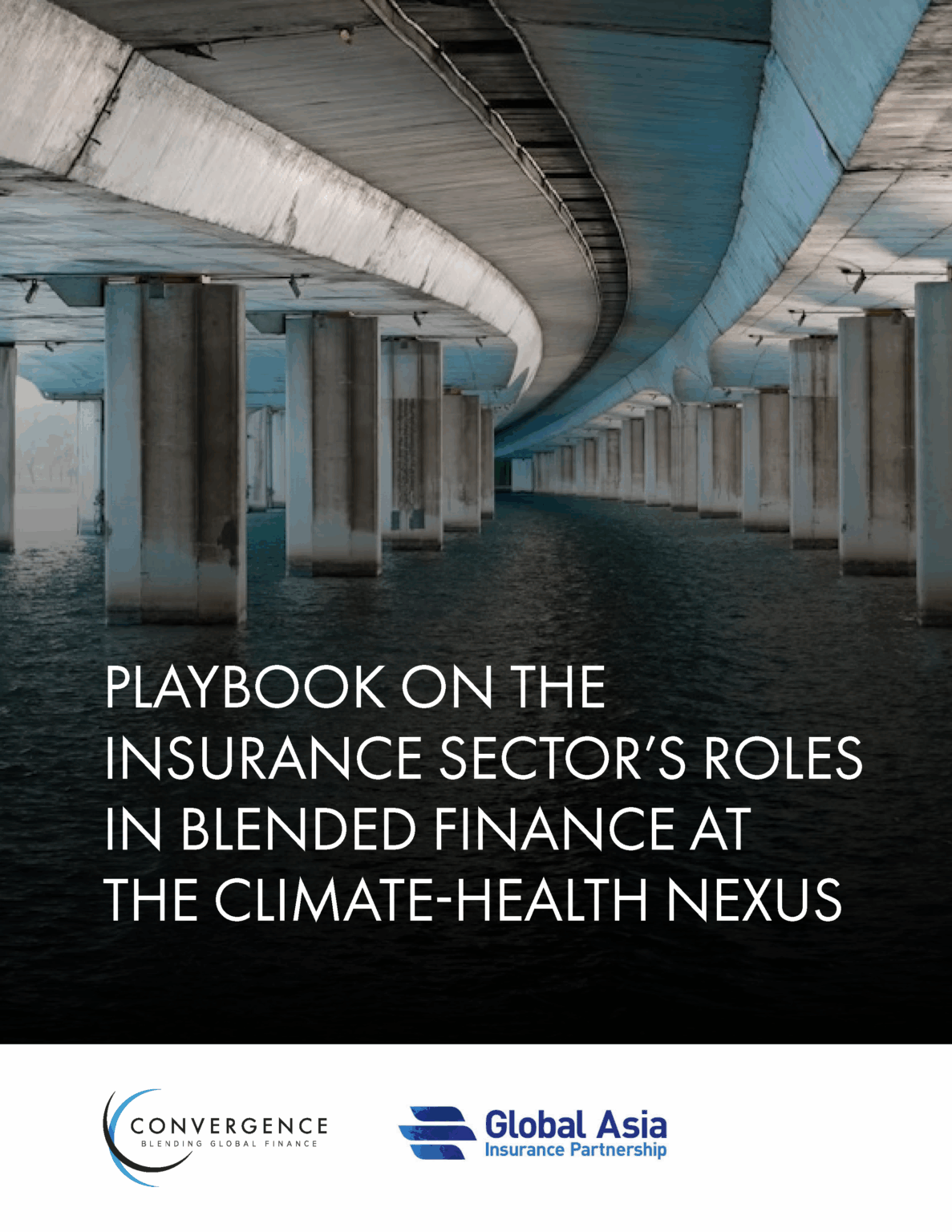 Playbook on the Insurance Sector's Roles in Blended Finance at the ...